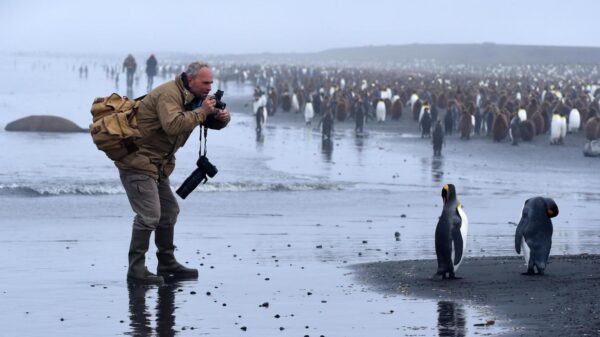 Thomas Goisque, Adventure Photographer - BLOG